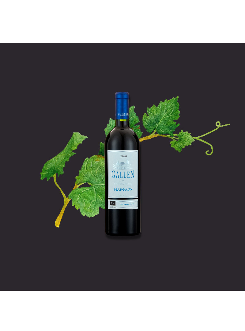 Gallen of Château Meyre - AOP Margaux Le Clos de Meyre